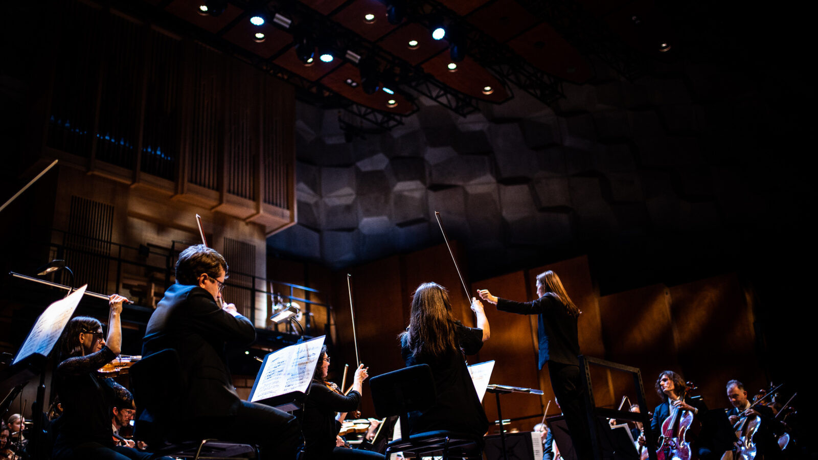 De Lawei - Drachten - Noord Nederlands Orkest